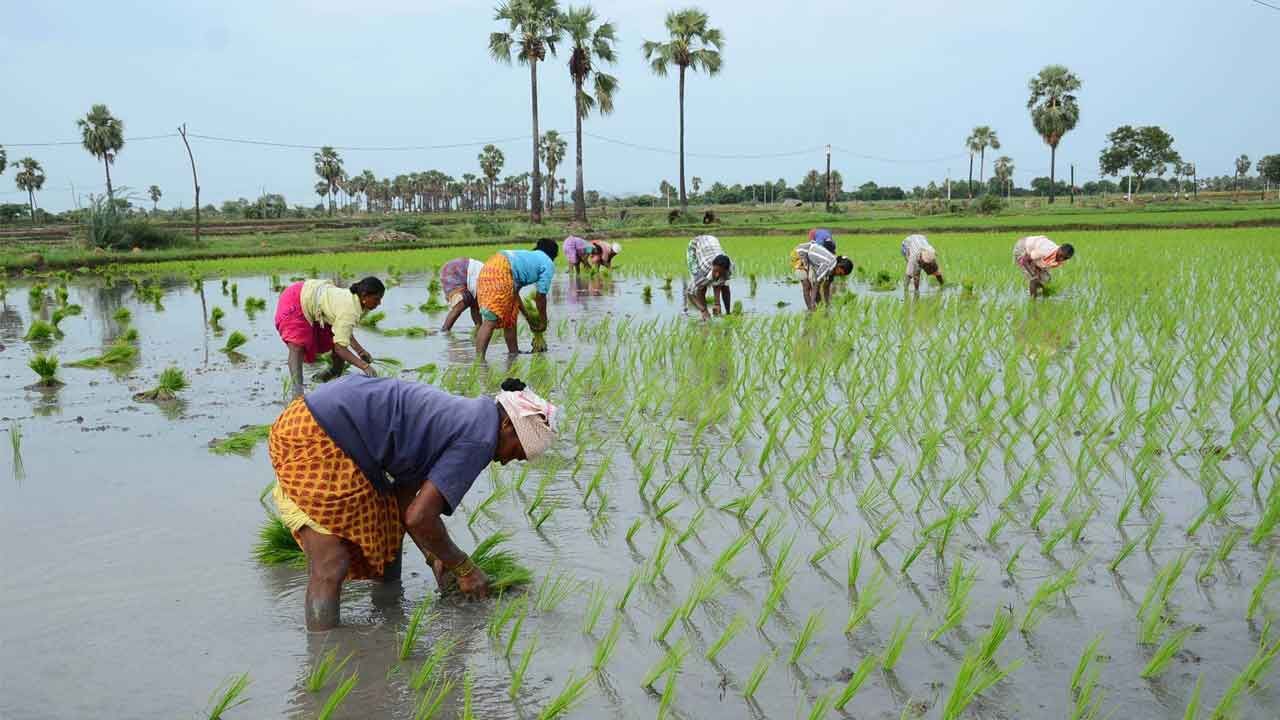 TG govt ‘renews’ Rythu Bima, tweaks eligibility rules