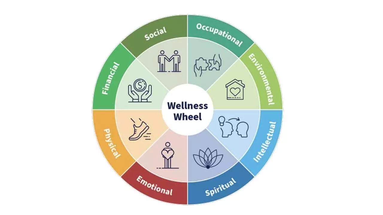 ‘Wheel of Wellness’ launched