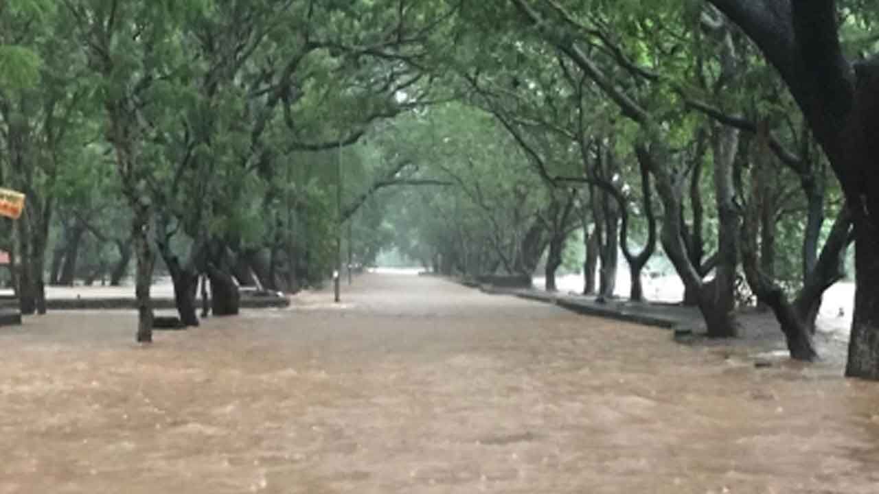 Mumbai's Mithi River crosses danger mark; beaches closed amid heavy ...