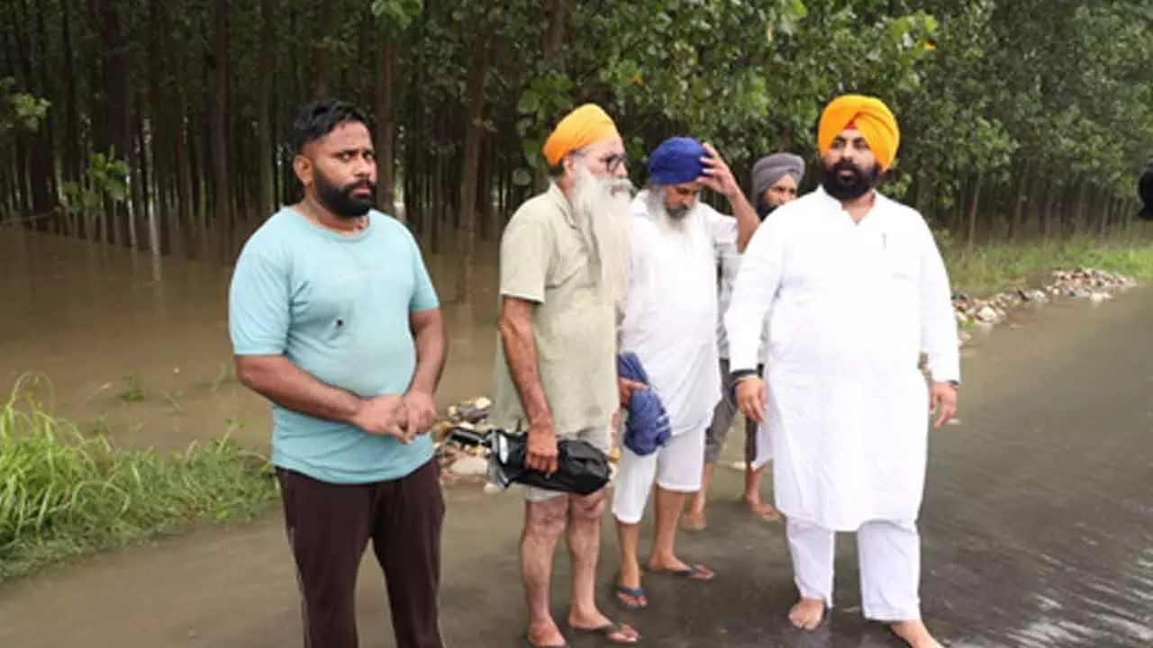 Floods may drown land, but never 'Chardi Kala' spirit of Punjabis, say survivors