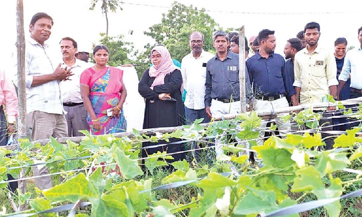 APCNF inspires Tamil Nadu team to replicate nutri gardens