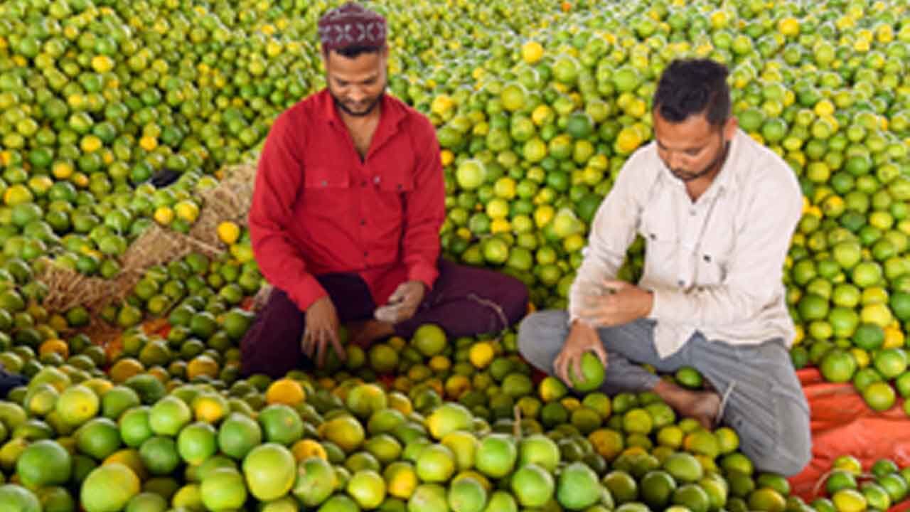 Clean Plant Programme to strengthen India’s horticulture, empower farmers