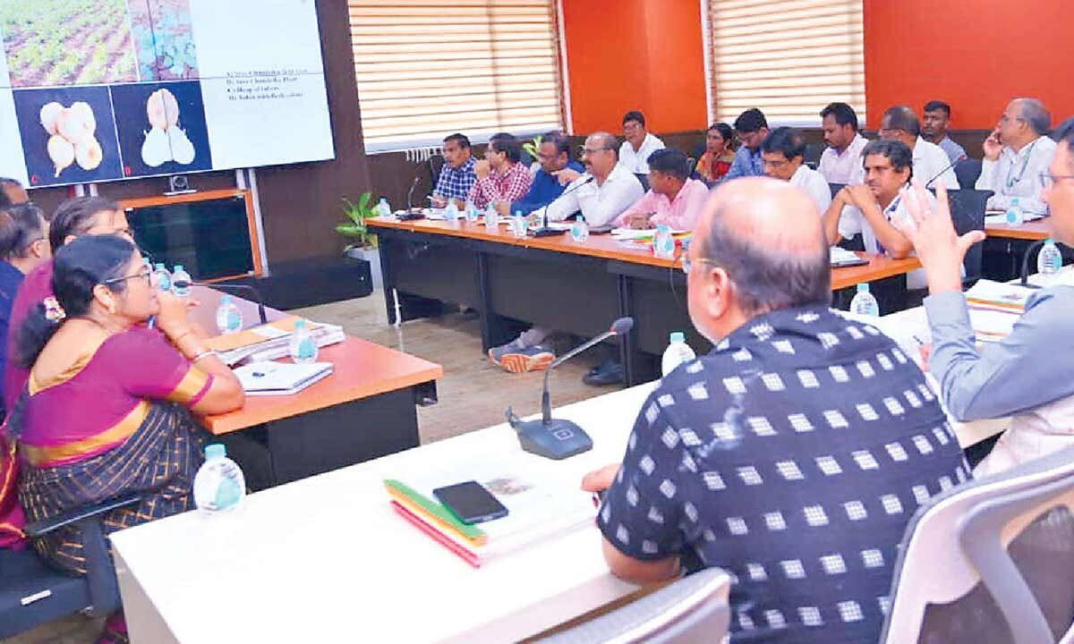 15 new crop varieties released