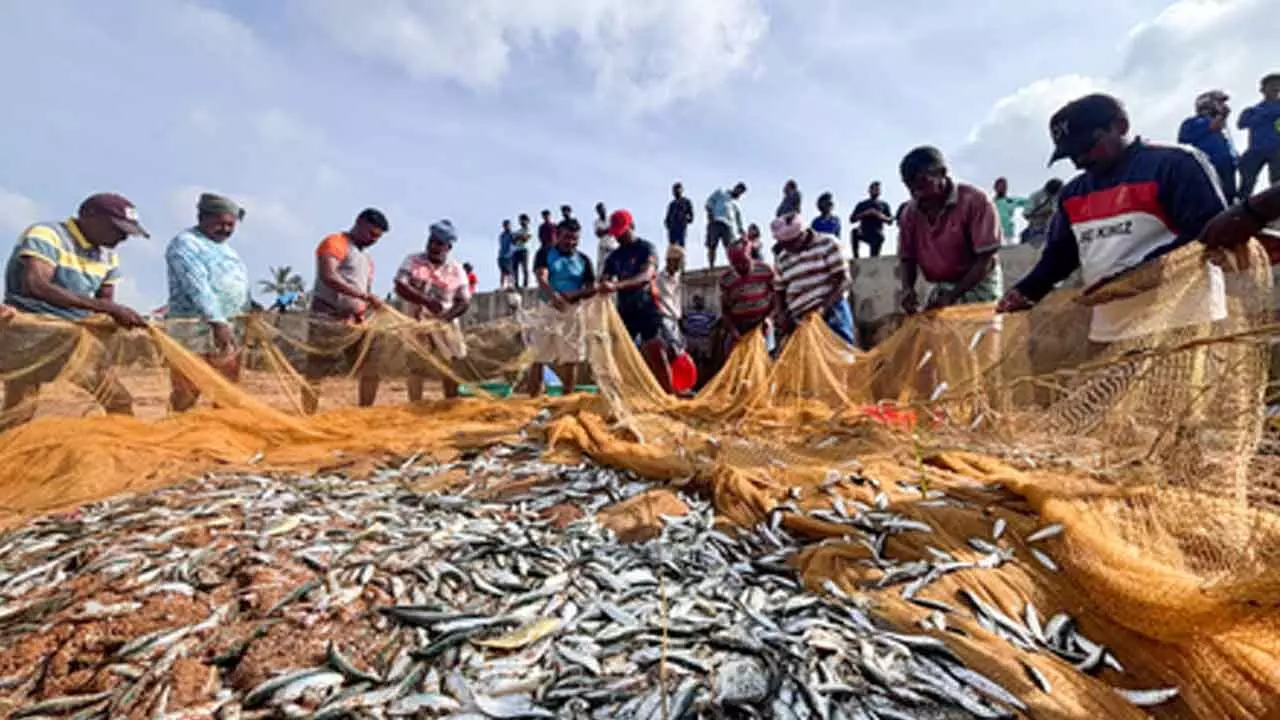 India world’s second-largest fish producer, contributing 8 pc to global ...