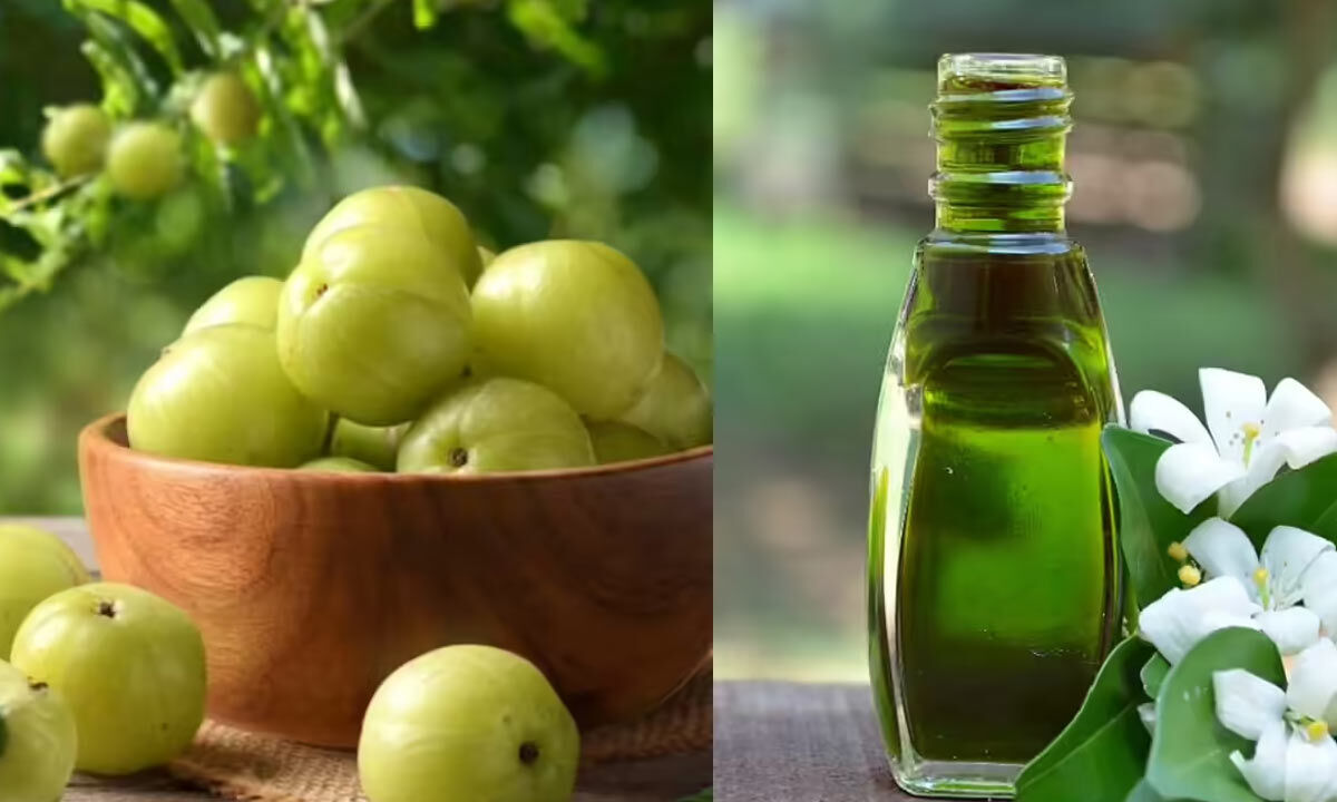 Amla vs Bhringraj: The Ayurvedic Secret to Faster Hair Growth