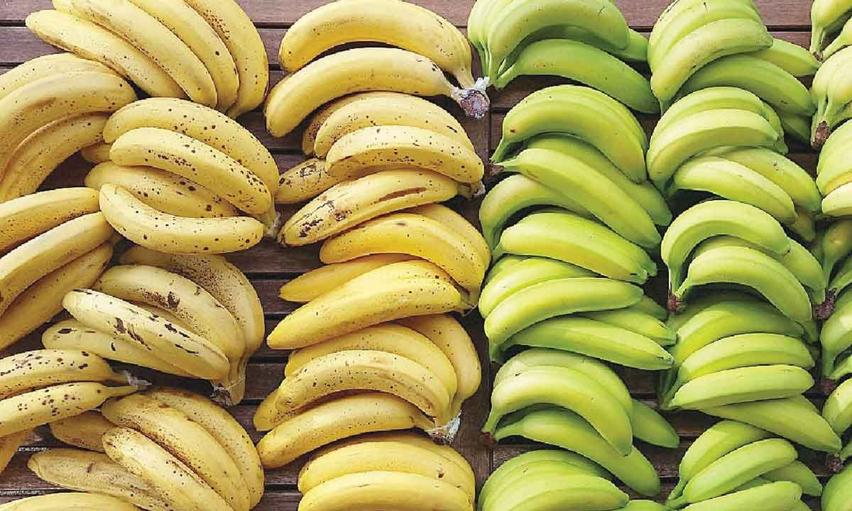 Menace of artificial fruit ripening in India