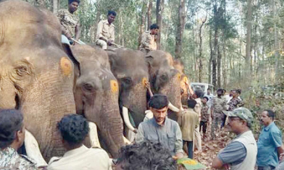 Elephant Task Force with 48 personnel sanctioned for Dakshina Kannada ...
