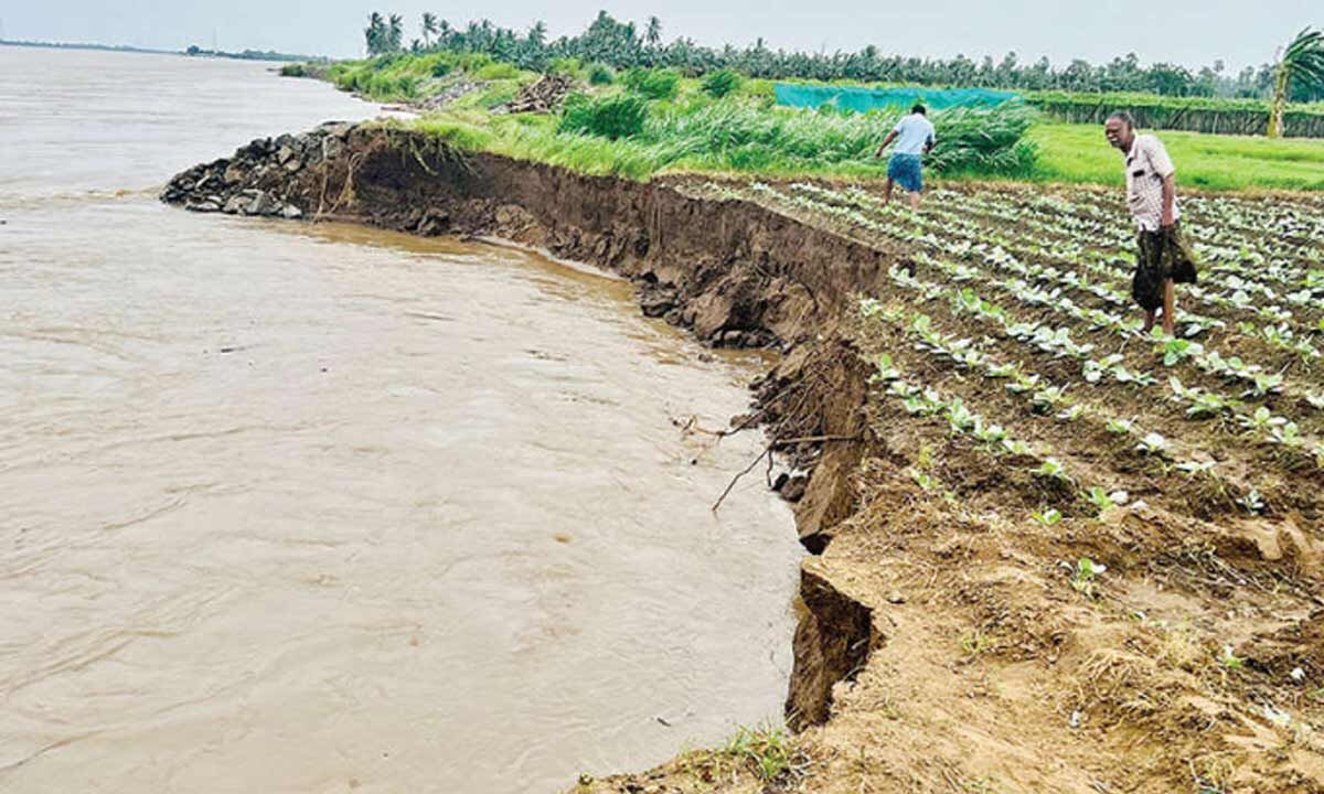 River erosion threatens fertile lands at Baduguvanilanka
