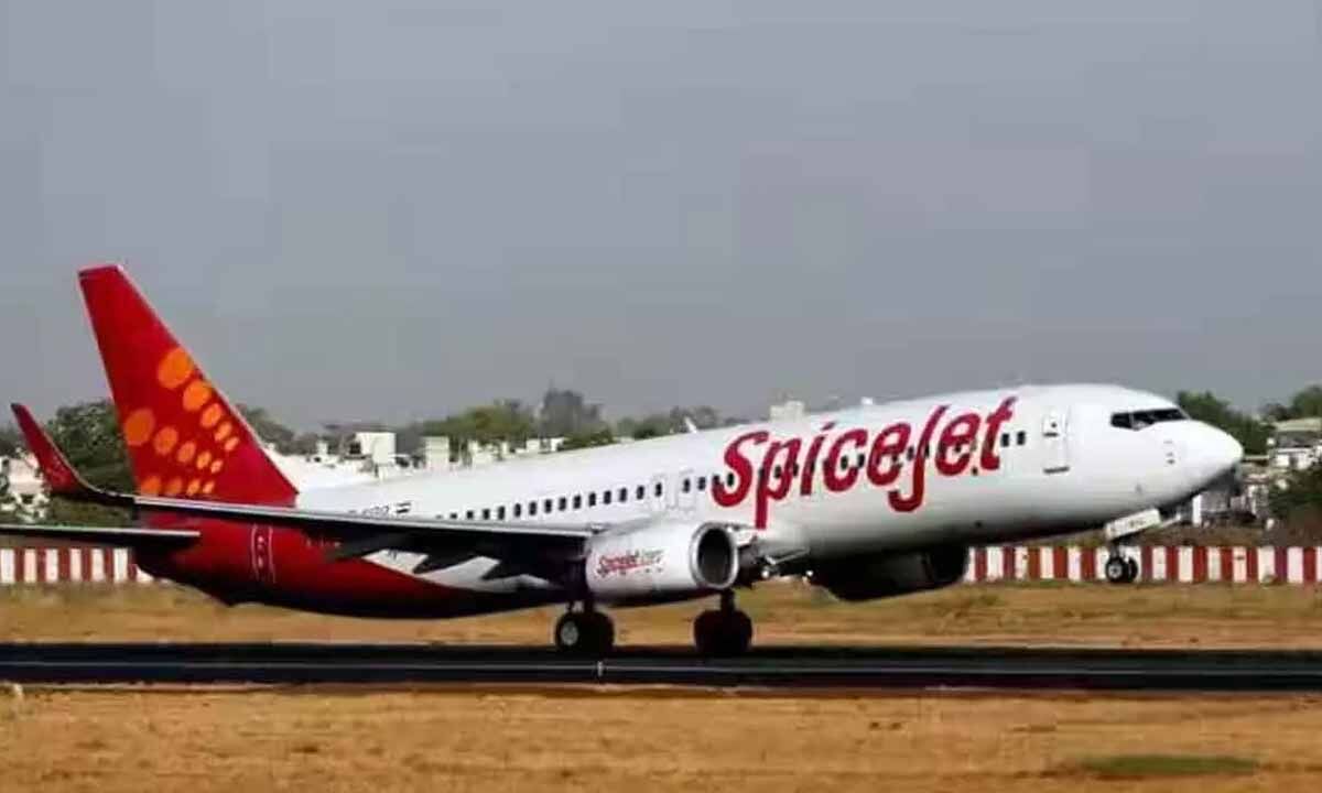 SpiceJet to Operate 250 Daily Flights This Winter – Over Double Its ...
