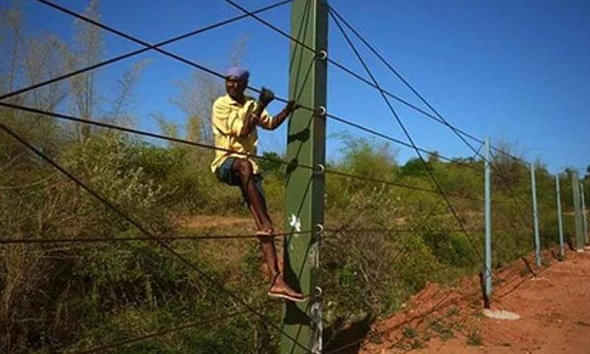Steel wire fencing work begins in TN's Coimbatore to curb elephant ...
