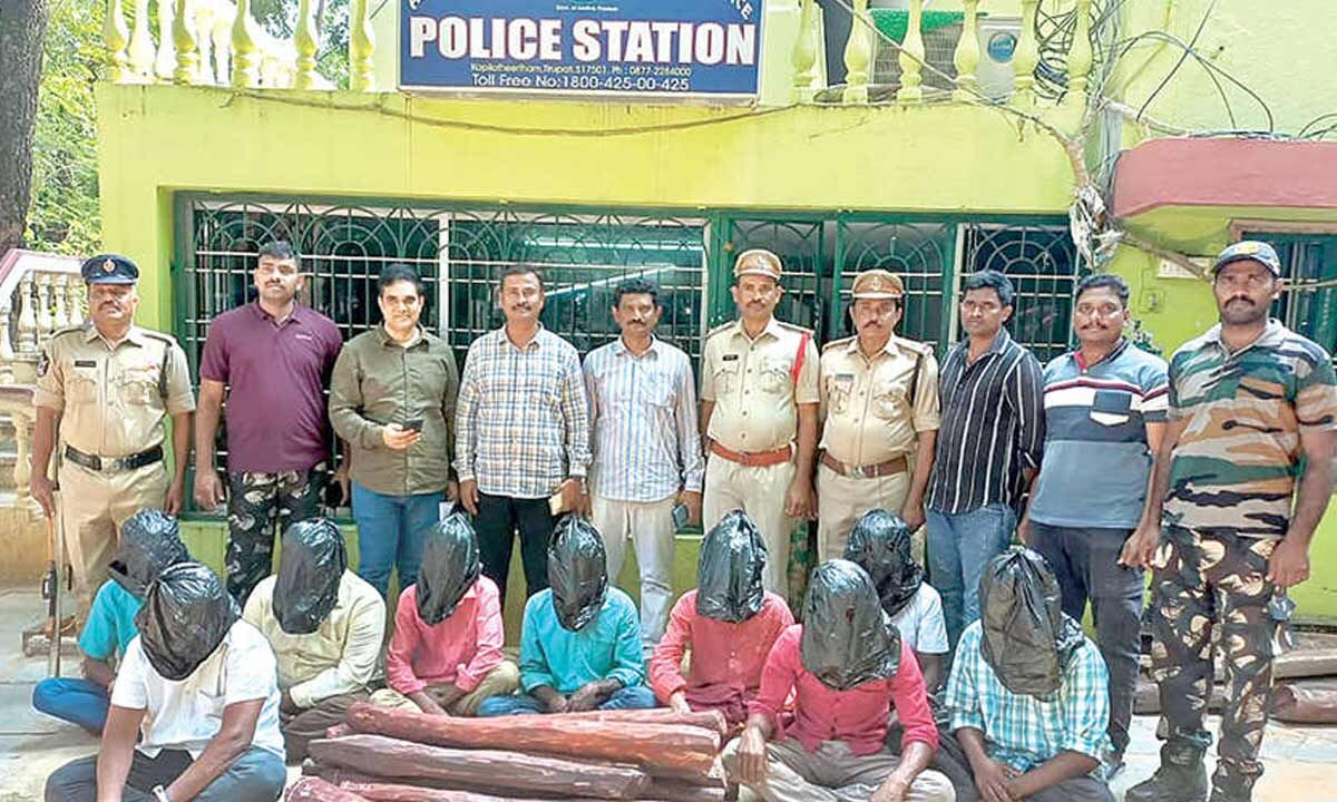 20 red sanders logs seized; 9 held