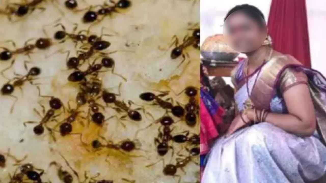 Tragedy in Hyderabad: Woman dies by Suicide citing rare phobia of ants ...