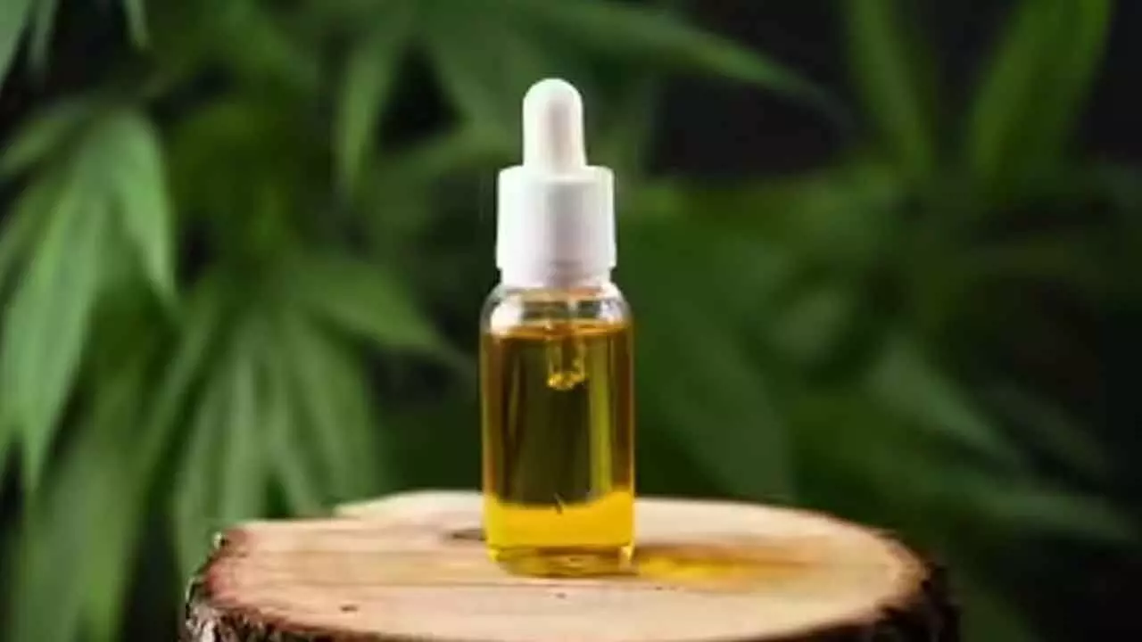 Hair Oils to Revive Hair Growth and Shine This Winter