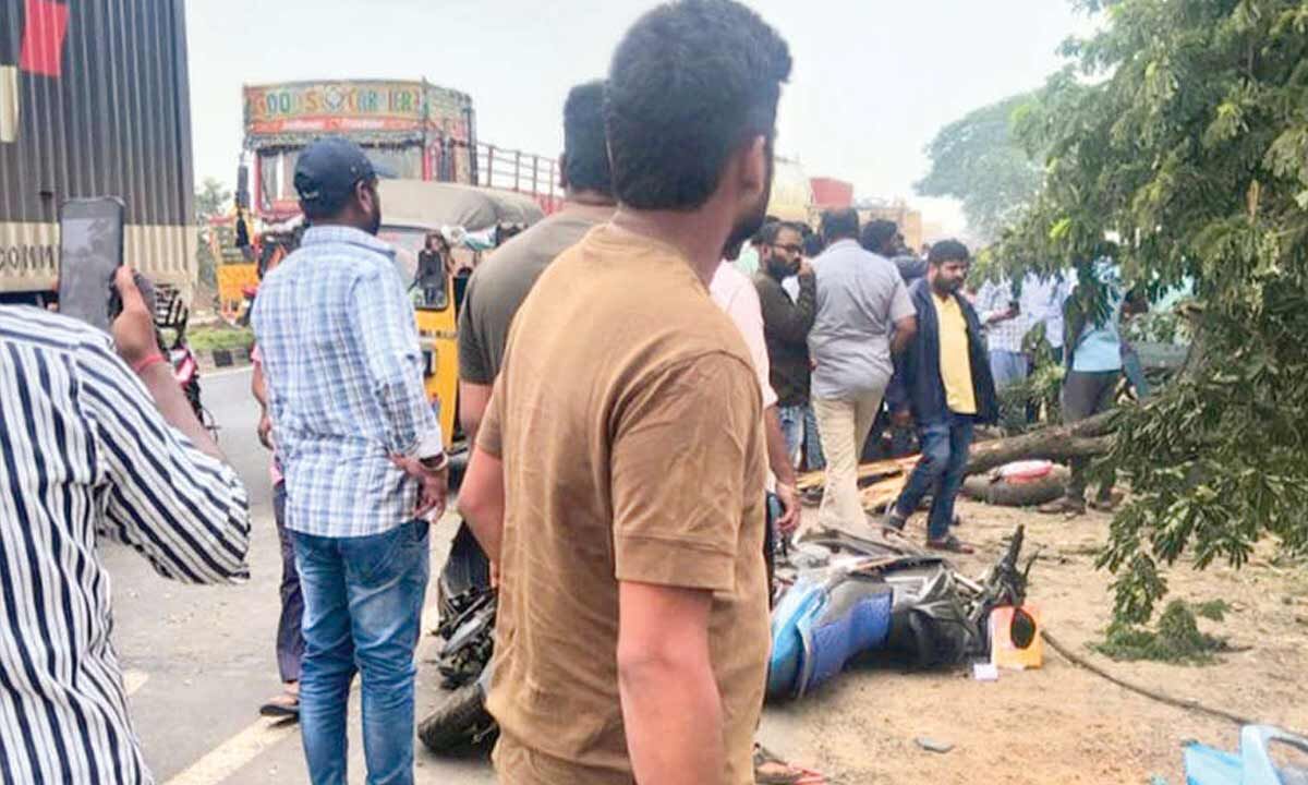 Three die as container lorry rams several vehicles