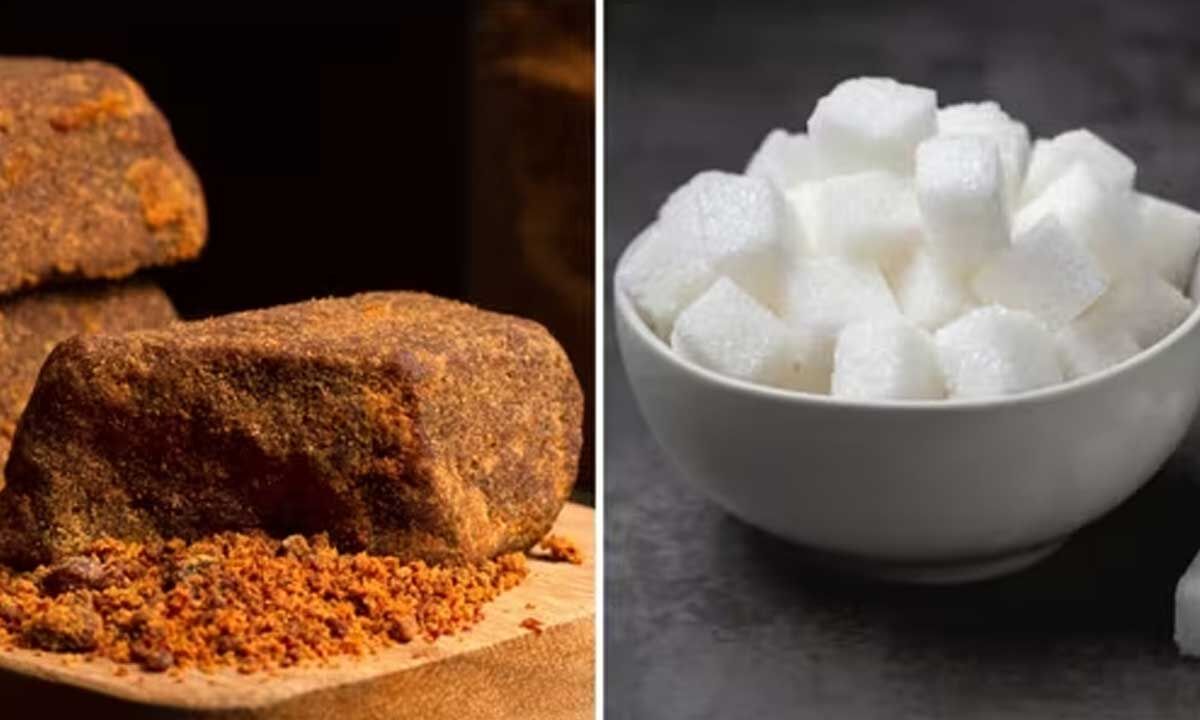 Sugar vs Jaggery: What Really Happens When You Make the Switch