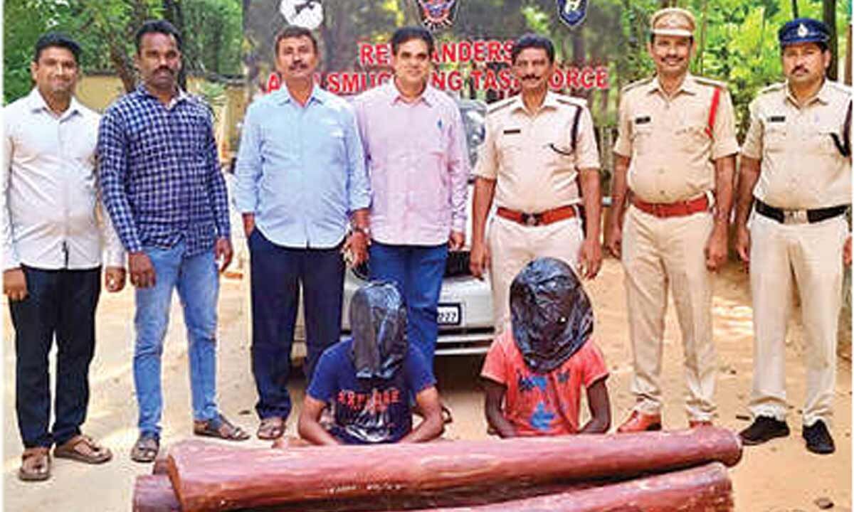 9 RS logs seized, 2 held