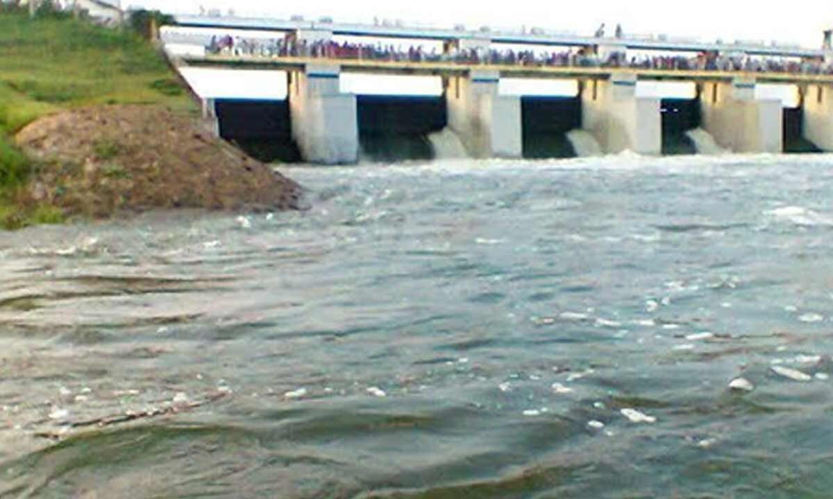 Heavy rain revives Chennai catchment areas; water released from three ...