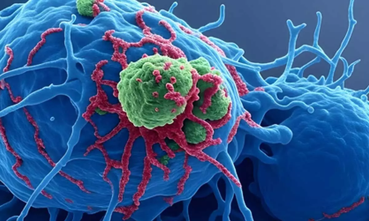 New drug to bypass resistance in deadly childhood cancer