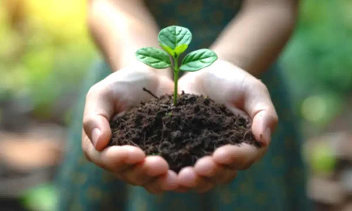 World Soil Day 2025: Theme, Significance, and Why Soil Health Matters More Than Ever