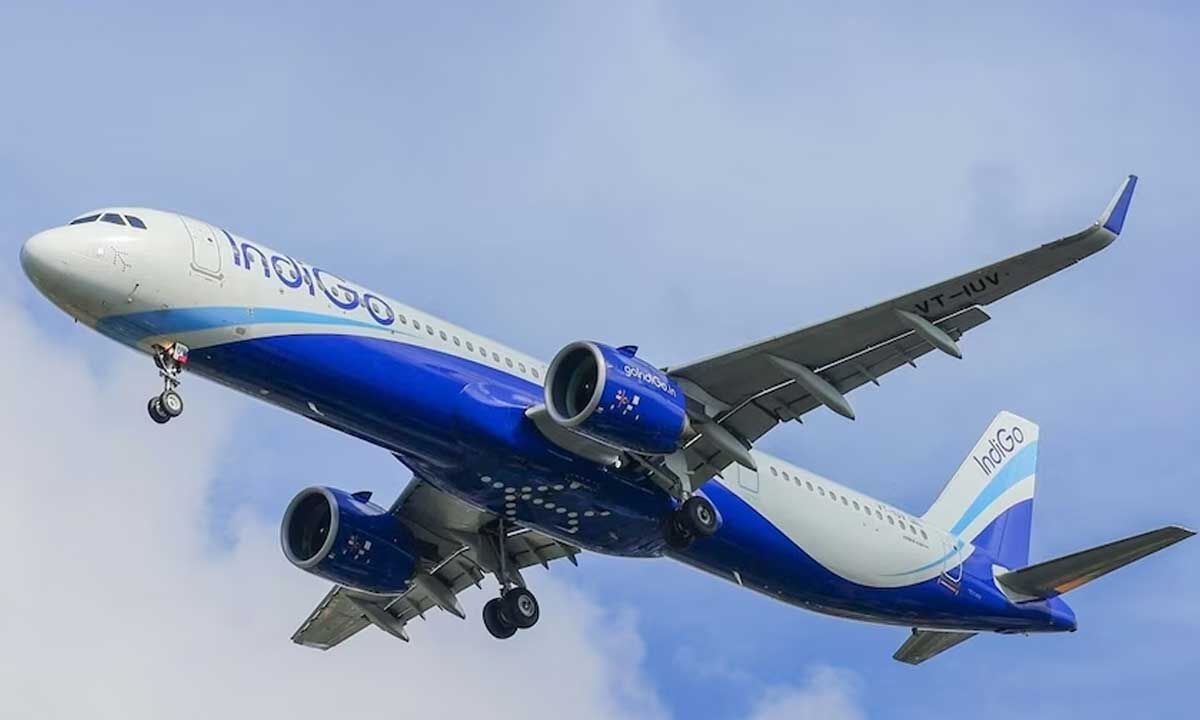 IndiGo ropes in aviation expert for flight disruption probe