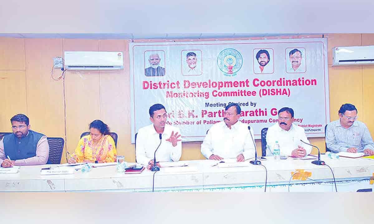 Work in coordination for district's development: DISHA Chairperson