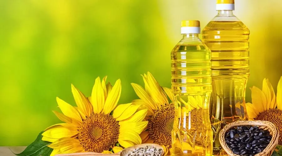Cooking oils and chronic disease prevention: What families should know