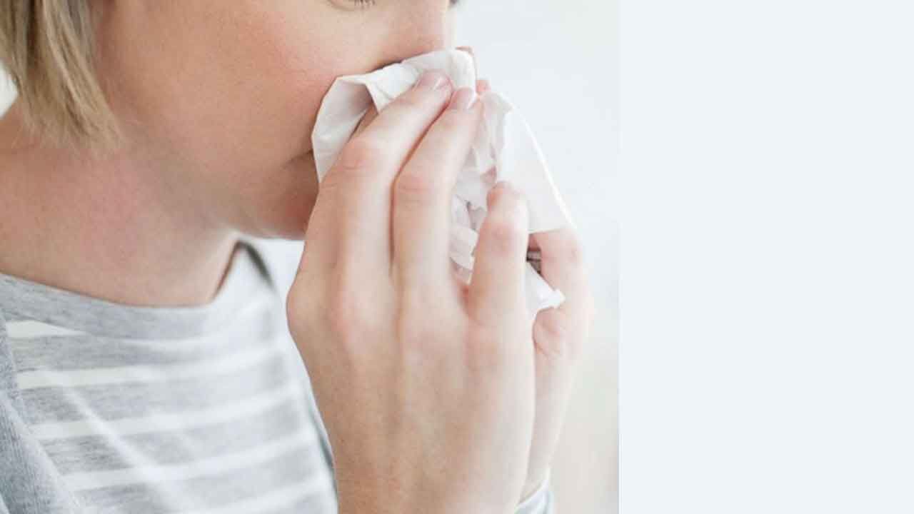 One more district in Bulgaria declares flu epidemic measures