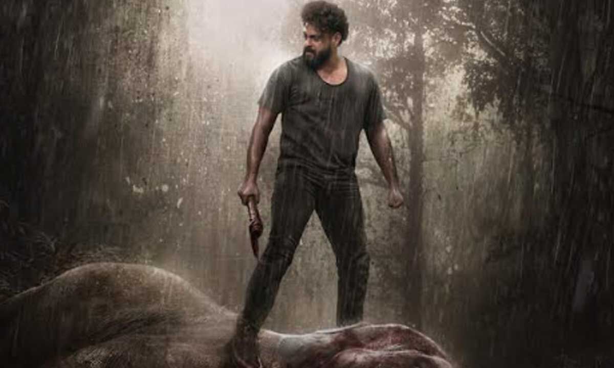 ‘Catalan’ second look stuns audiences