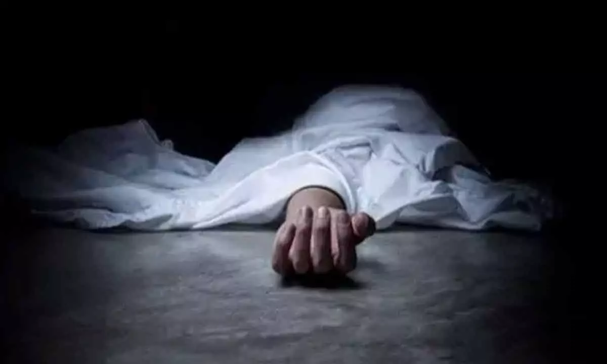 Van driver beaten to death
