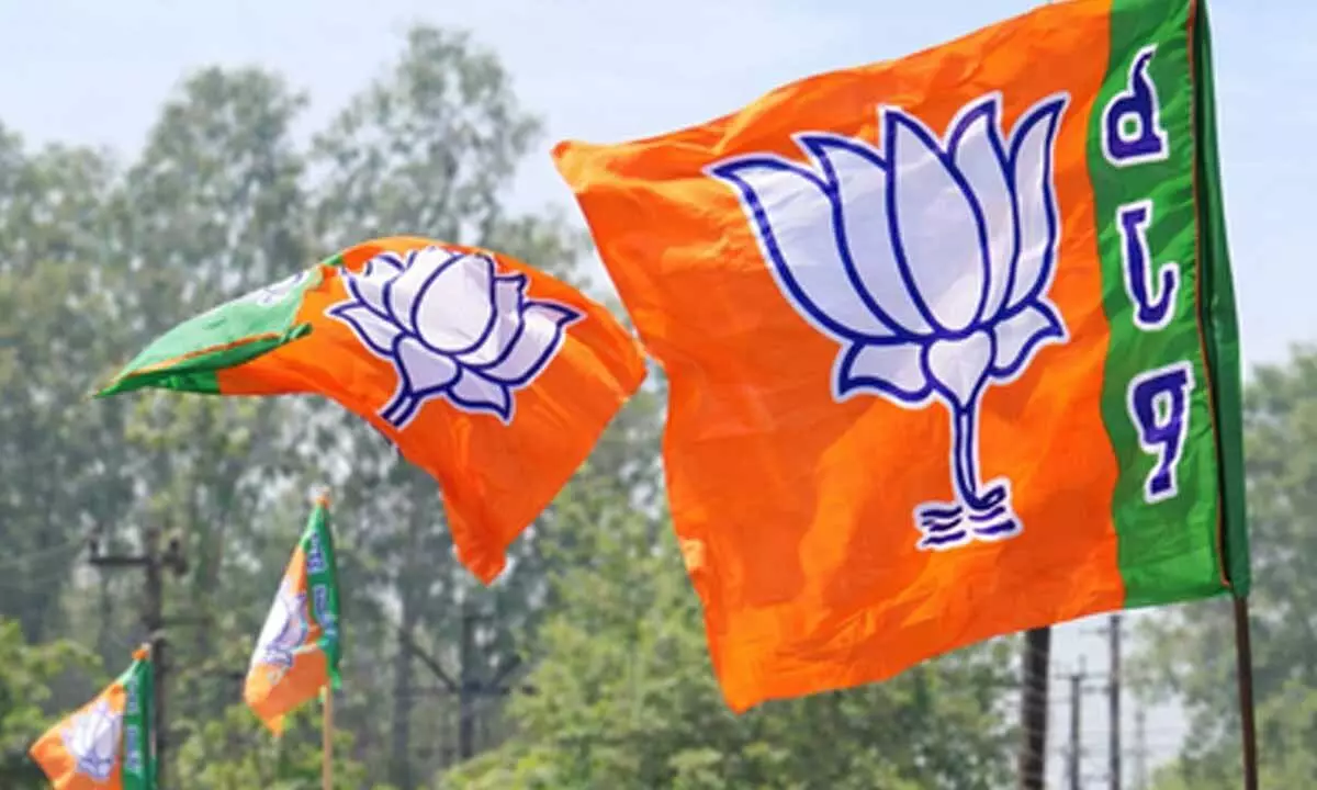 Gujarat: BJP records 41 unopposed victories in Navsari’s local bodies