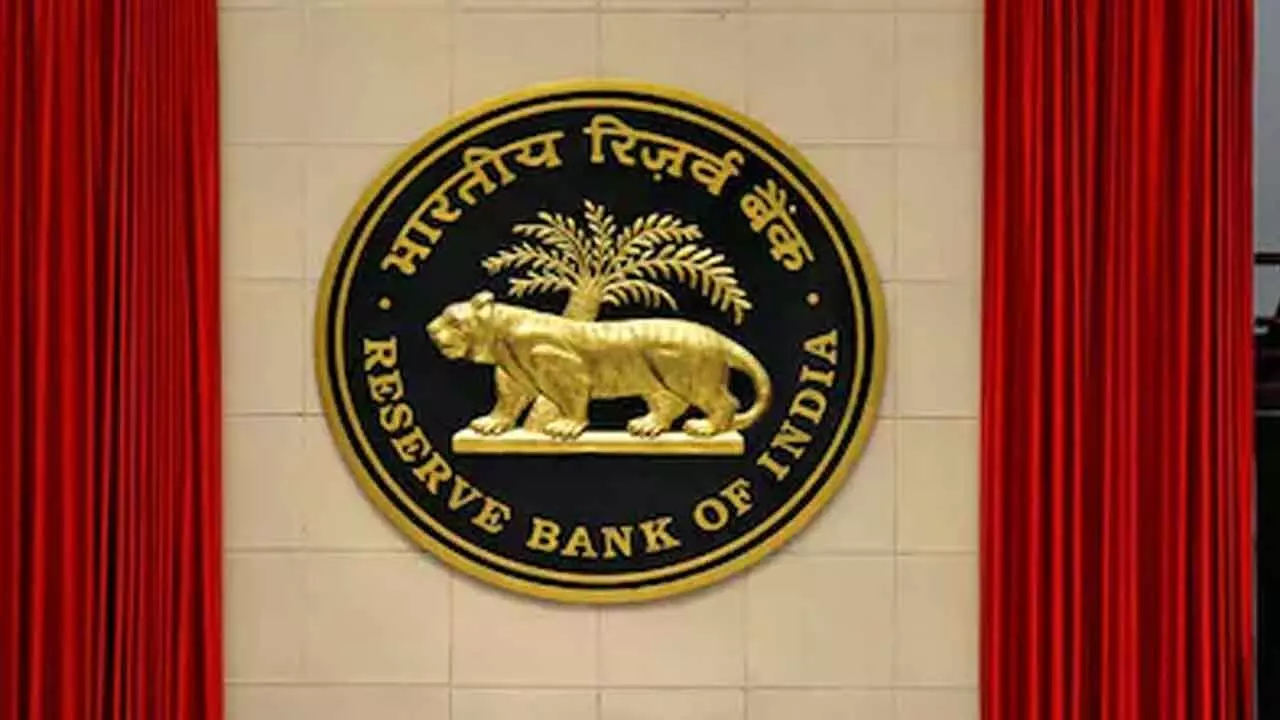 Pvt companies' bond investments jump multi-fold in FY25: RBI