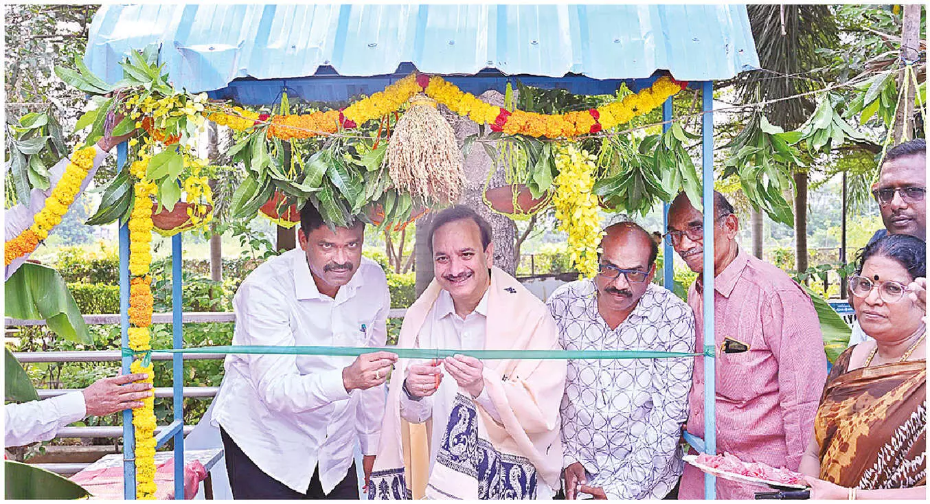 Stress on caring for birds, animals during summer