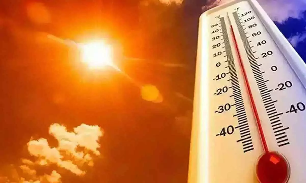 Heatwave Warning Issued for Andhra Pradesh