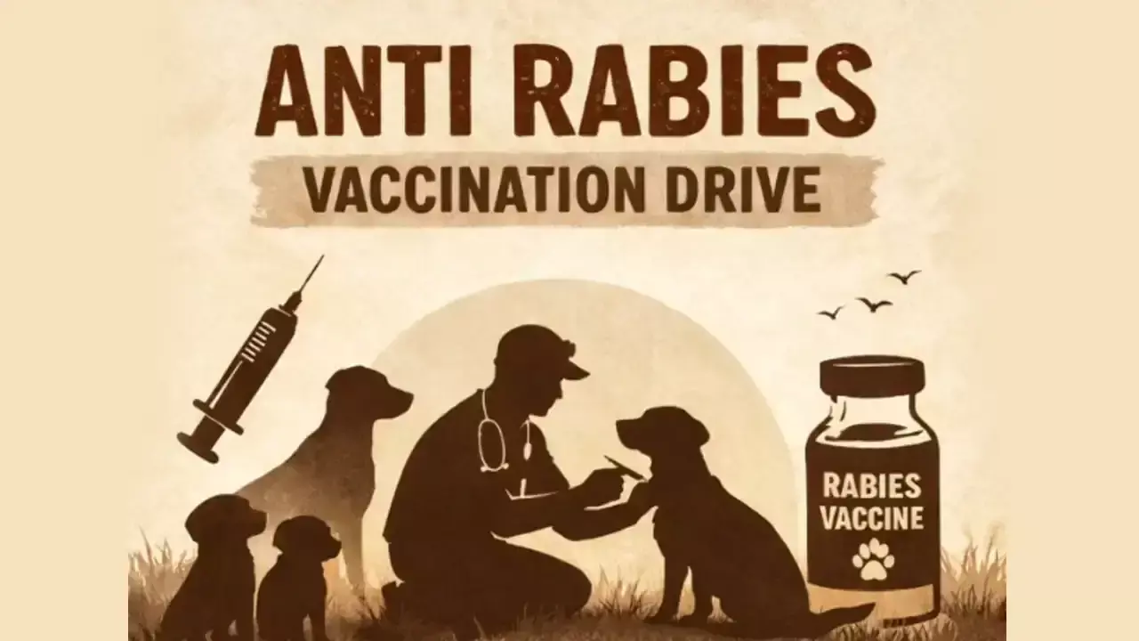 Anti-rabies vaccination drive