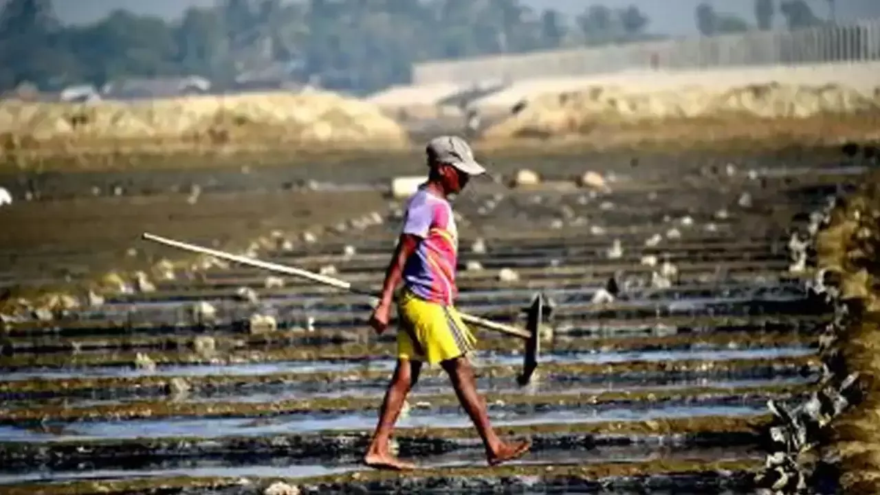 Trade deal with US to hit poor Bangladesh farmers: Expert