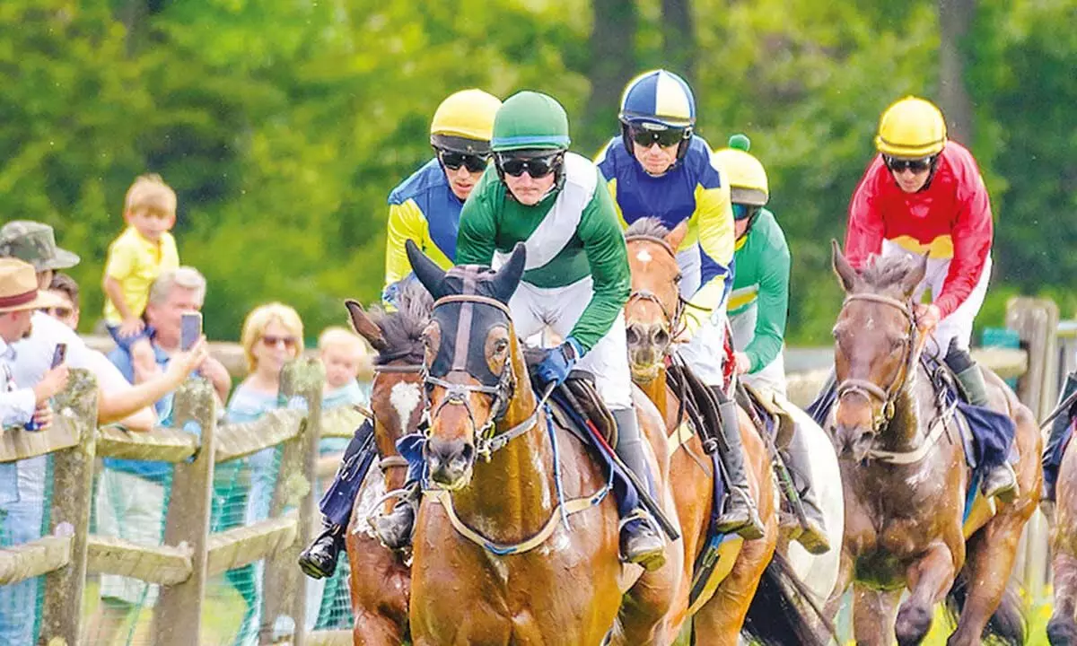 The countryside of Philadelphia’s captivating equestrian traditions and ...