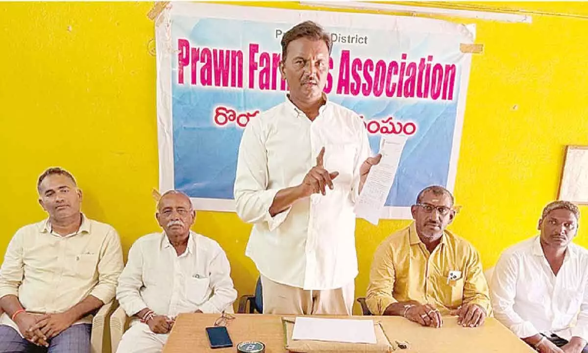 Plea to reject prawn feed price hike proposal