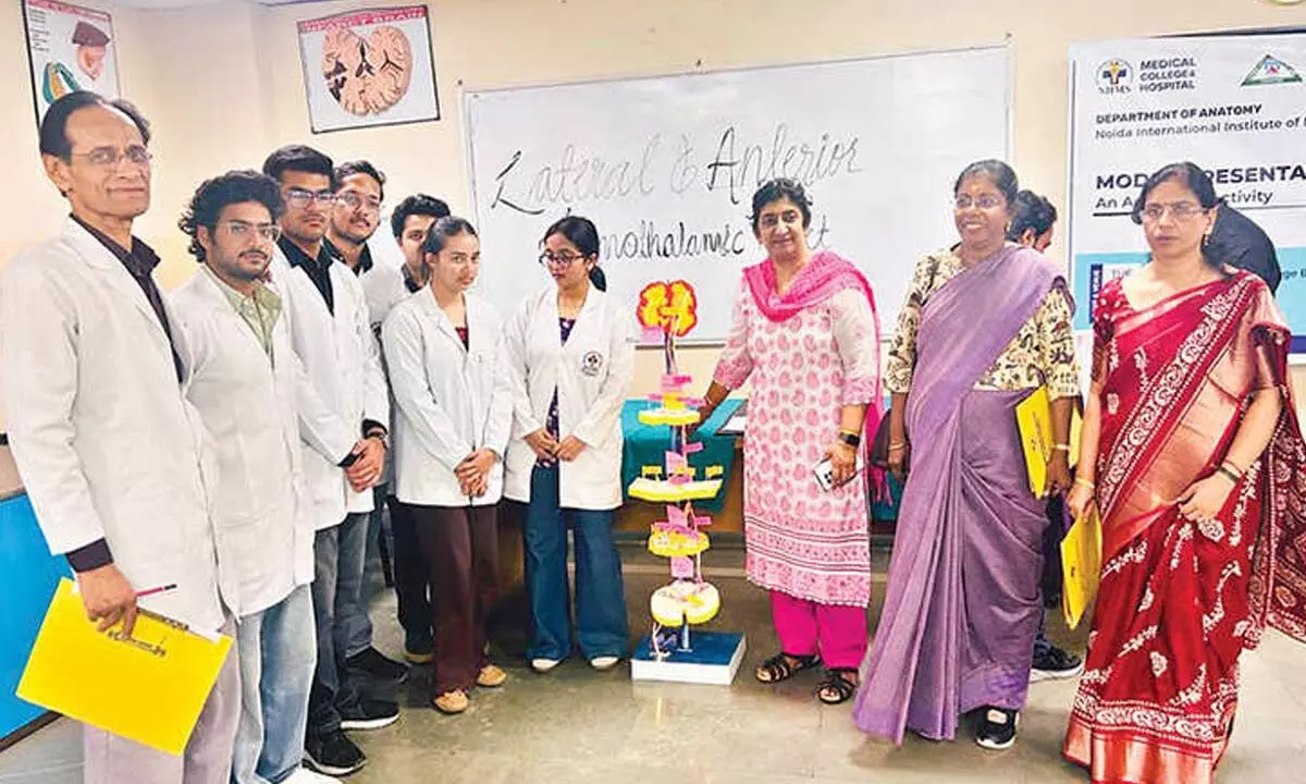 MBBS students showcase creativity at neuroanatomy model competition