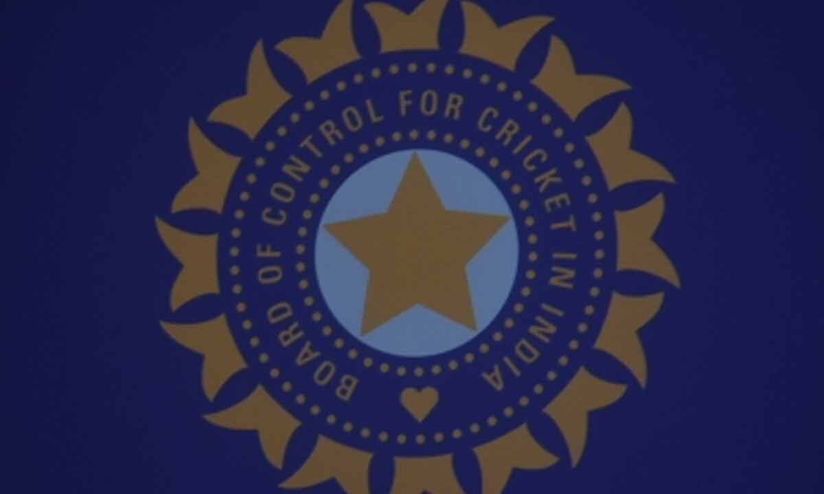 'Not a public authority': BCCI not covered under RTI Act, rules CIC