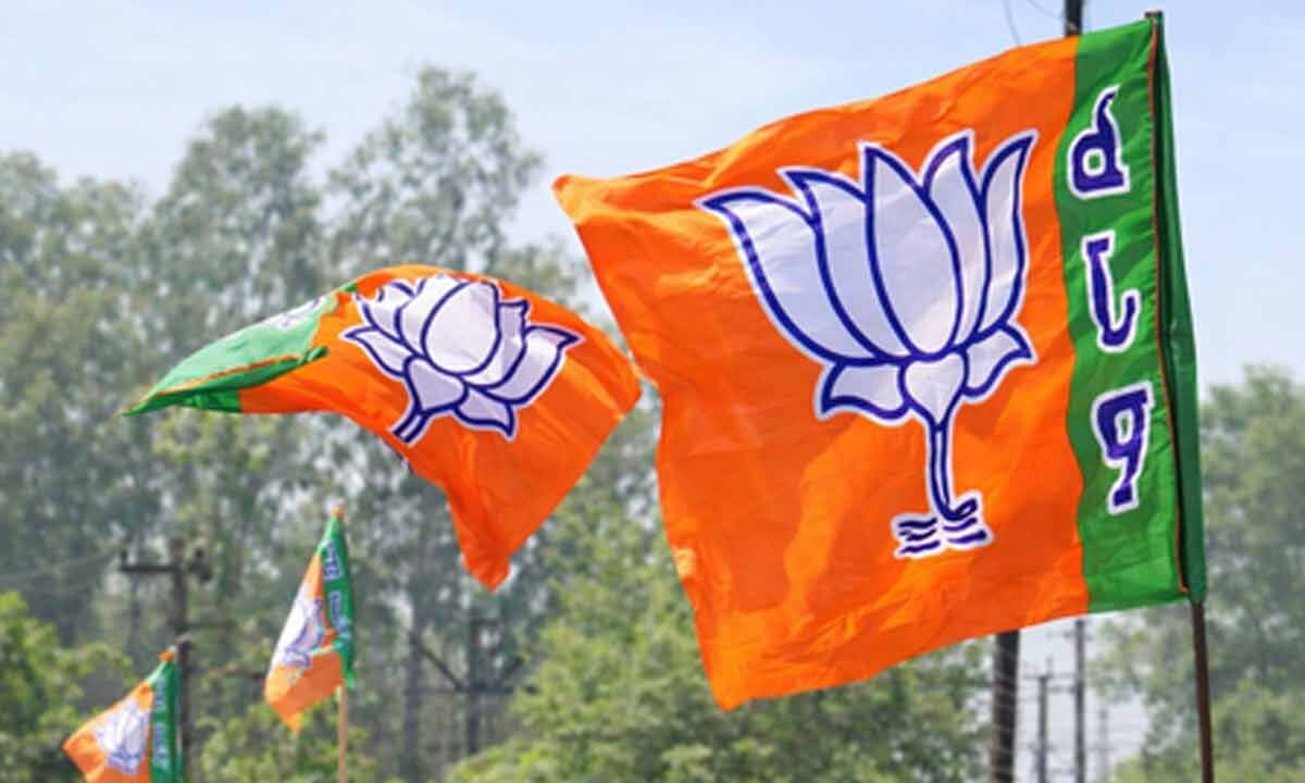 Punjab govt imposing heavy taxes on fuel: BJP