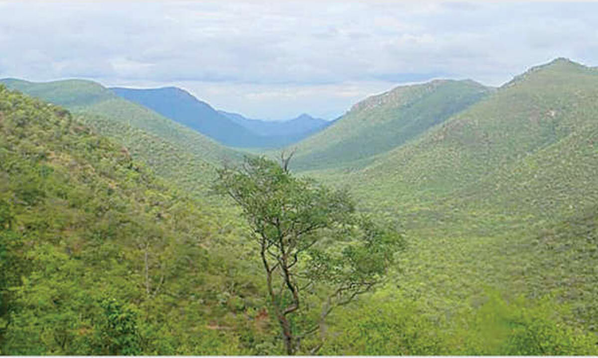 Oppn grows against proposed residential complex in eco-sensitive forest ...