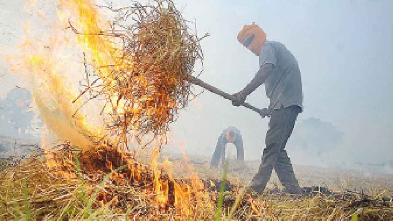 Campaign against stubble burning launched