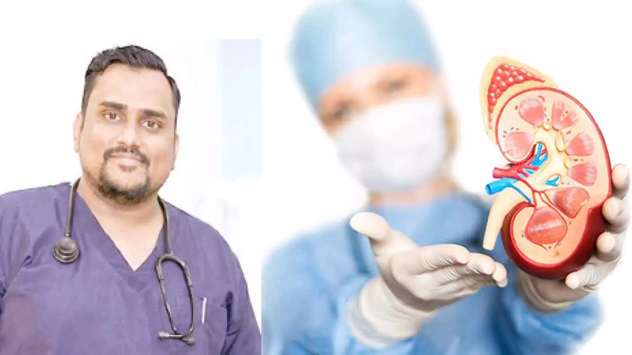 Kidney transplantation: A life-changing treatment transforming end ...