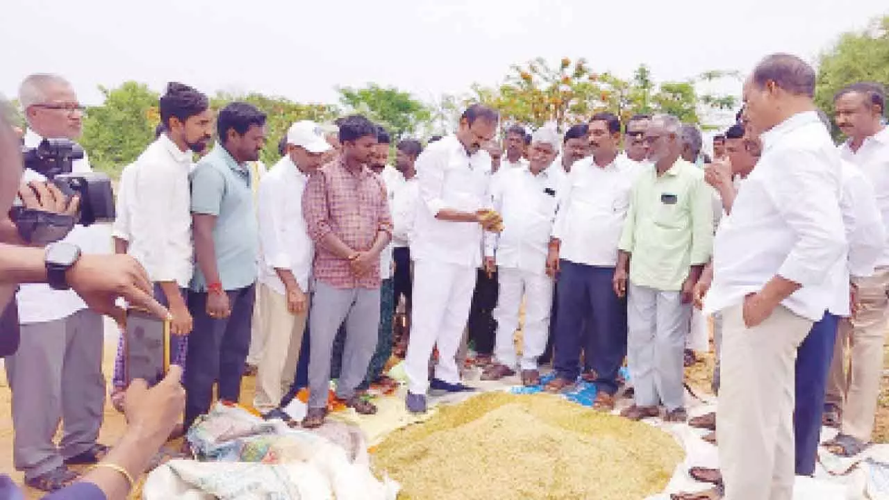 Paddy damaged in rains due to delayed procurement: Ex MLA Ala ...