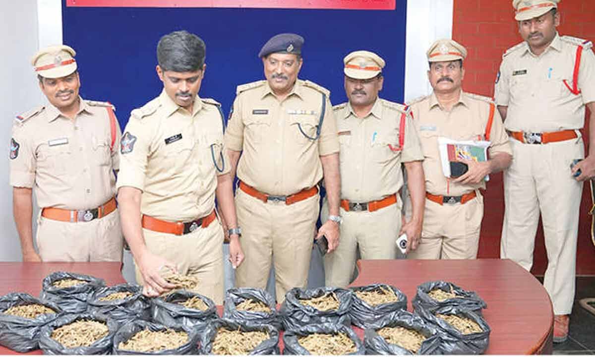 Police smash major narcotics grid; 14 drug peddlers arrested with 7 kg ...