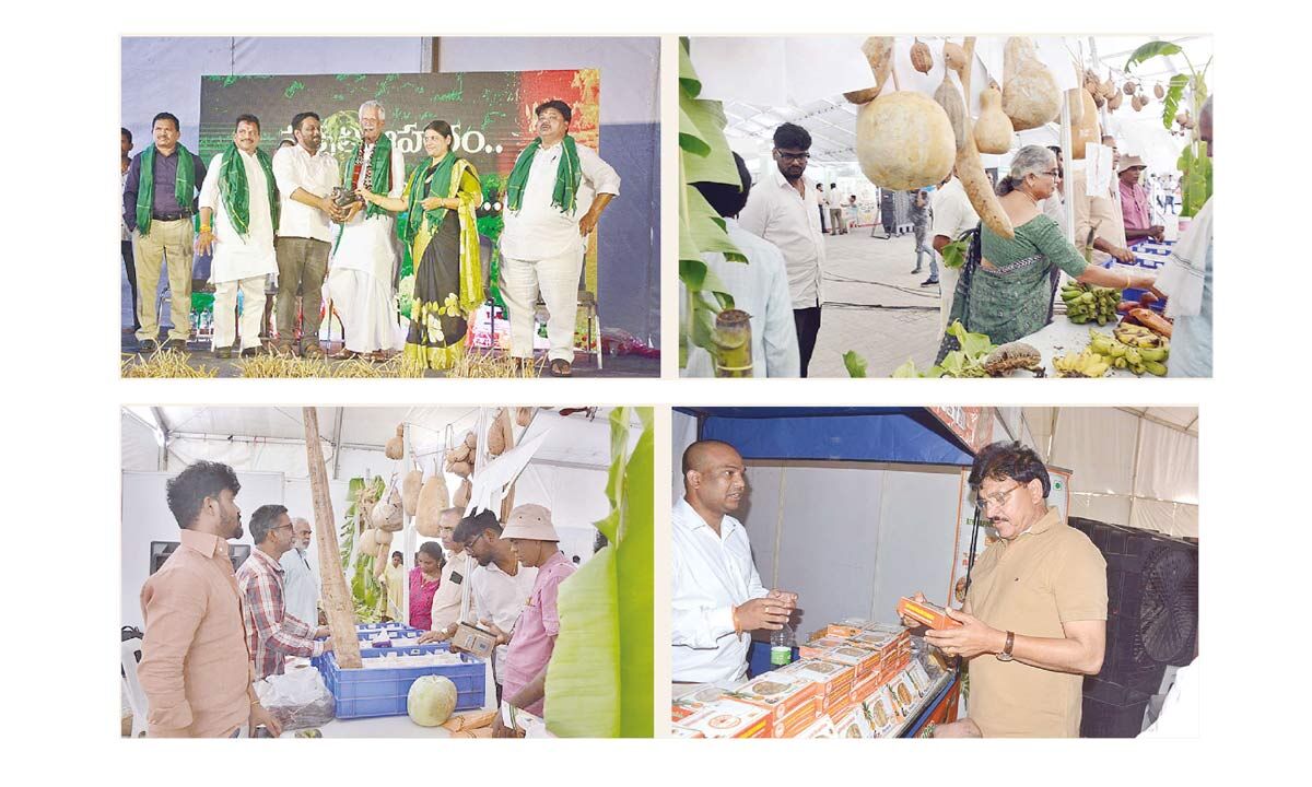 Organic seed seller spreads message about natural farming