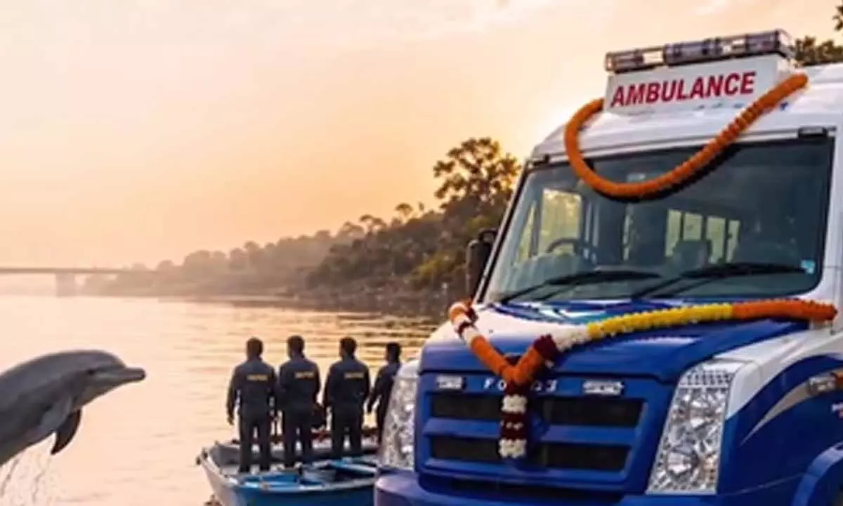 'Truly remarkable': PM Modi applauds India's first 'Dolphin Rescue ...