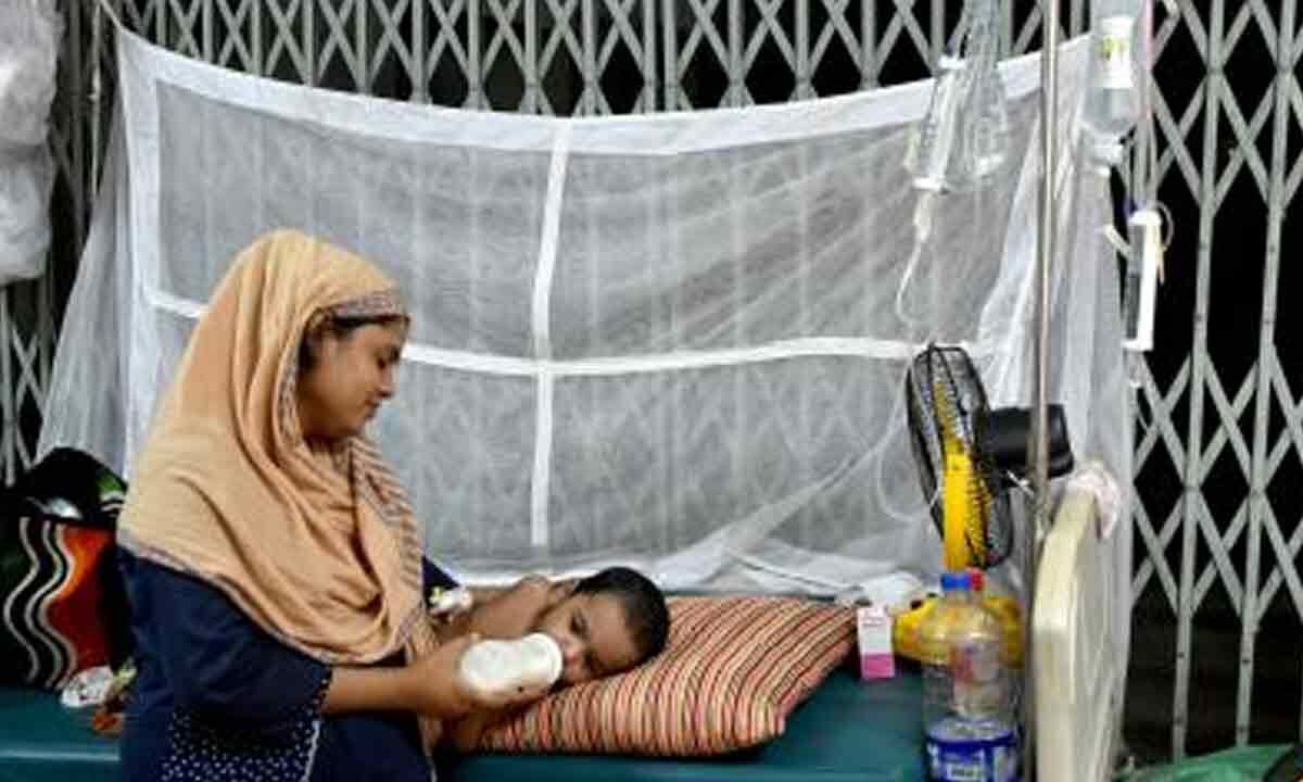 Bangladesh records another dengue death, overall toll reaches six