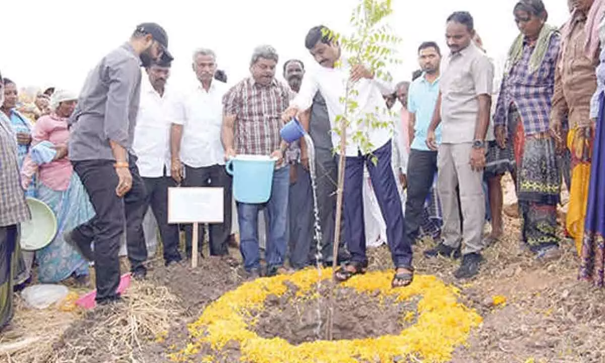 Minister Janardhan launches grand world environment day green drive