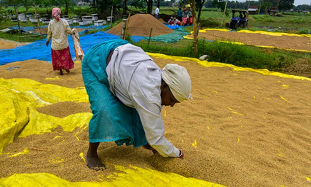 Farm loan waiver: Maha eyes 2.8 pc fiscal cap despite welfare sops